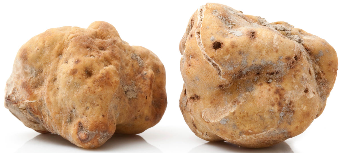 Fresh Truffles | M Fresco, Inc