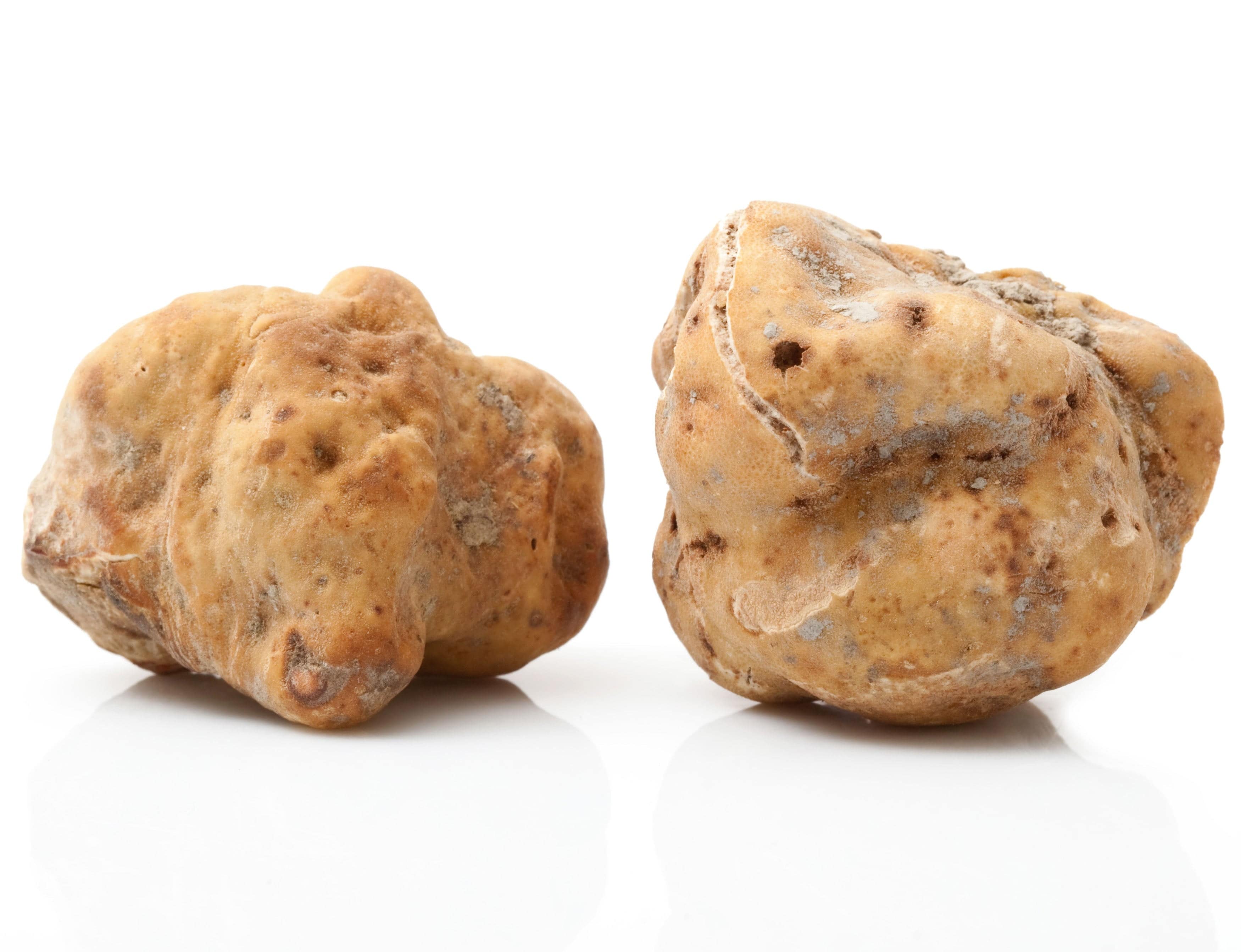 FD Tartufi Fresh White Truffle Alba